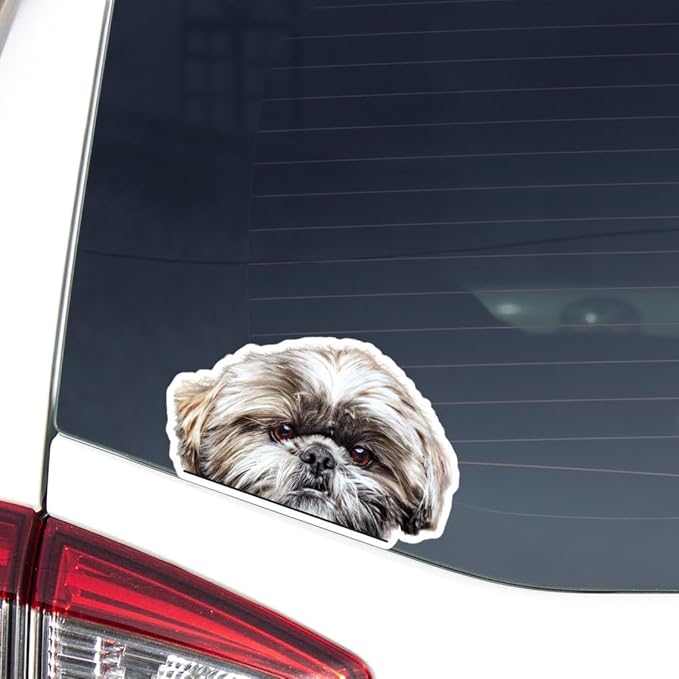 Amazon.com: Silver Parti Shih Tzu Car Decal Sticker, Peeking Photo Shih ...