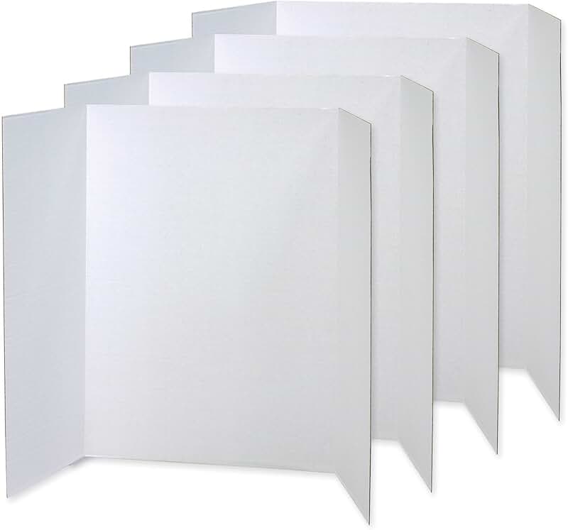 Amazon.com: Poster Boards - Poster Boards / Presentation Supplies ...