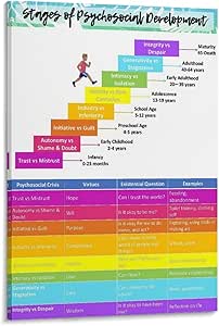 Amazon.com: Erik Erikson's Stages of Psychosocial Development Poster ...