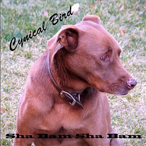 Play Sha Bam Sha Bam by Cynical Bird on Amazon Music