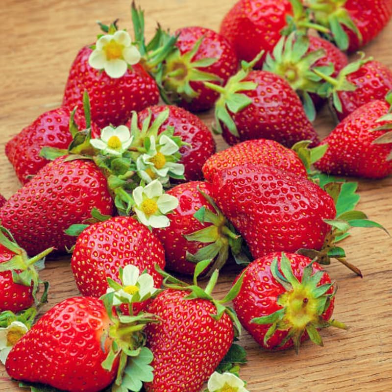Amazon.com : Strawberry Plant for Planting, Sparkle Strawberry Roots ...