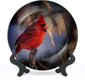 Amazon.com: Decorative Plates Male red cardinal in winter Cardinalis ...