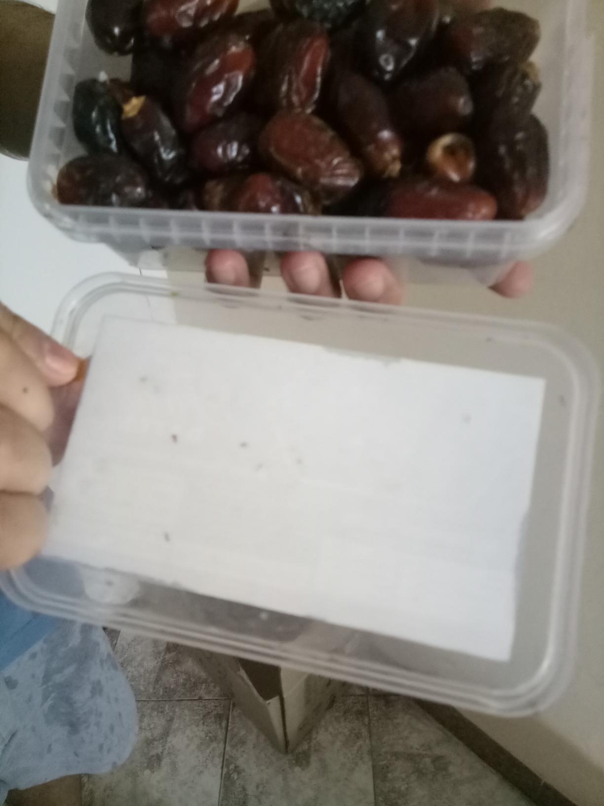 Markstor Classic Fard Dates (500g) - Premium Fard Dates of Oman ...