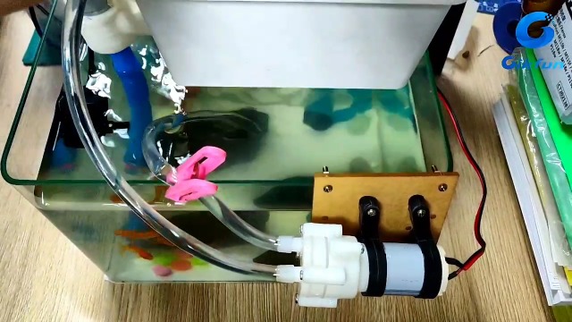 Watch Application of R385 Mini Water Pump Fish Tank Motor on Amazon Live