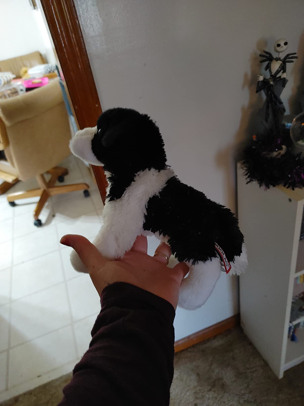 $3/mo - Finance Douglas Meadow Border Collie Plush Stuffed Animal | Buy ...