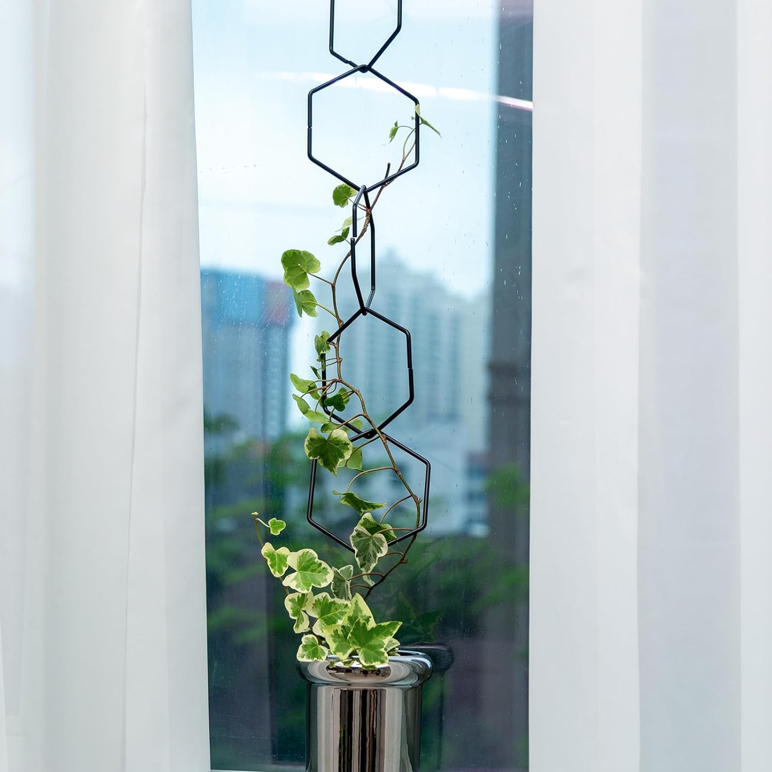 BOOXMIMI Hexagonal Metal Plant Trellis for Climbing Plants – Indoor ...