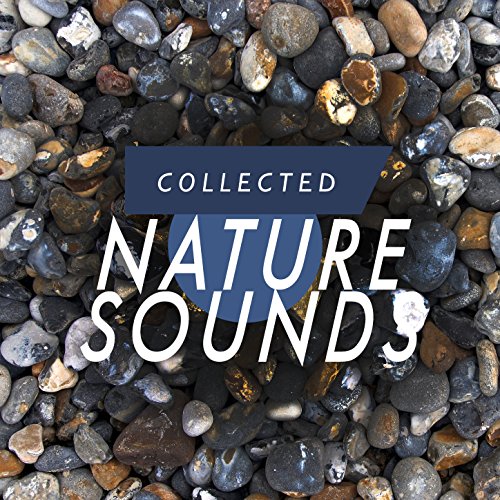 Amazon.com: Collected Nature Sounds : Nature Sound Collection: Digital ...