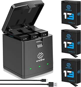 Anegine Hero 13 Battery 2100mAh and LED 3-Slot Storage Charger for ...
