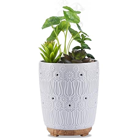 Amazon.com: Essential Oil Diffuser, Artificial Succulent Plants Potted ...