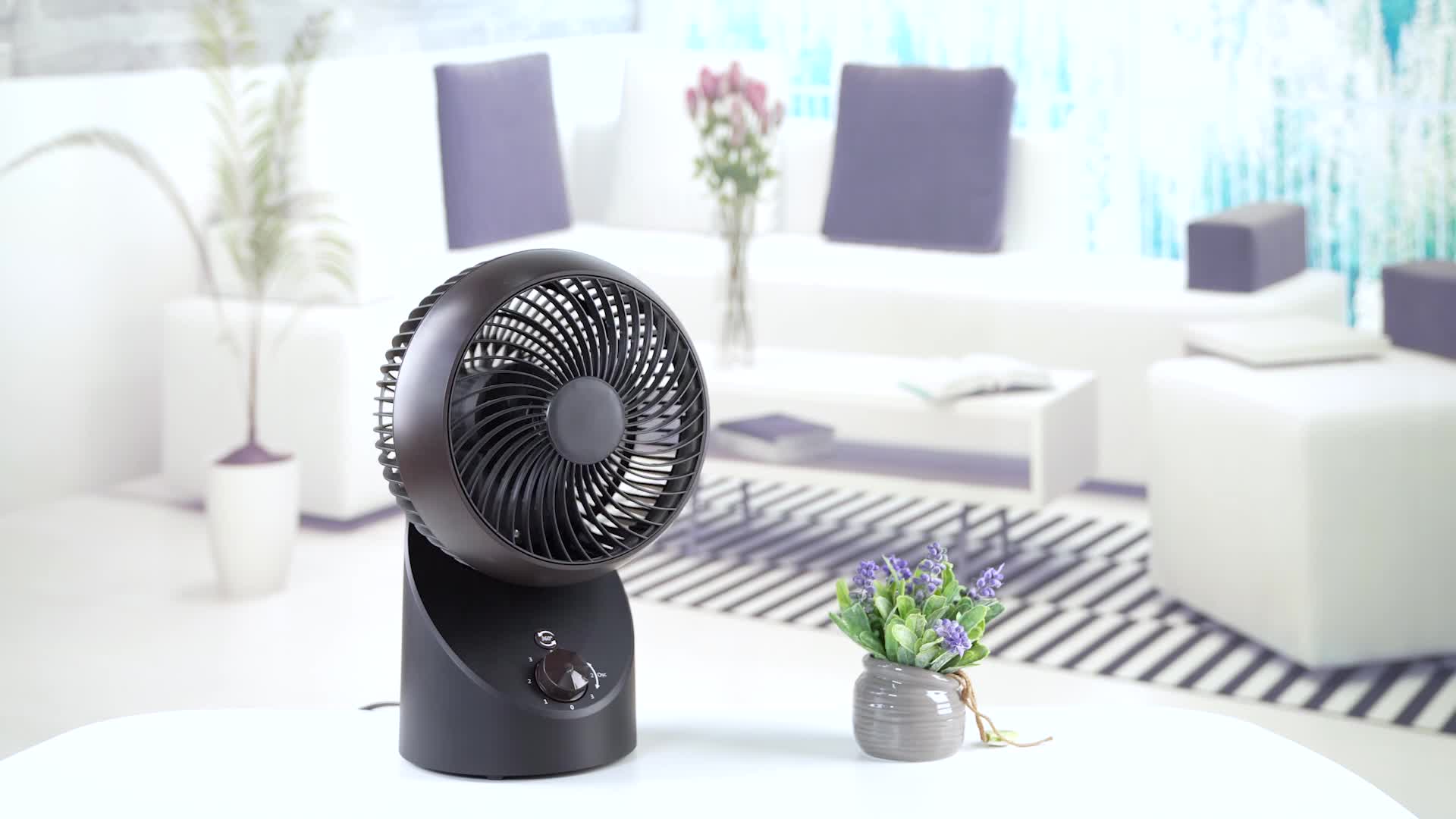 Watch 360-Degree Air Circulation Fan on Amazon Live