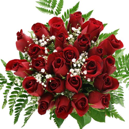 Amazon.com : 24 Stems Red Roses : Fresh Cut Format Rose Flowers ...