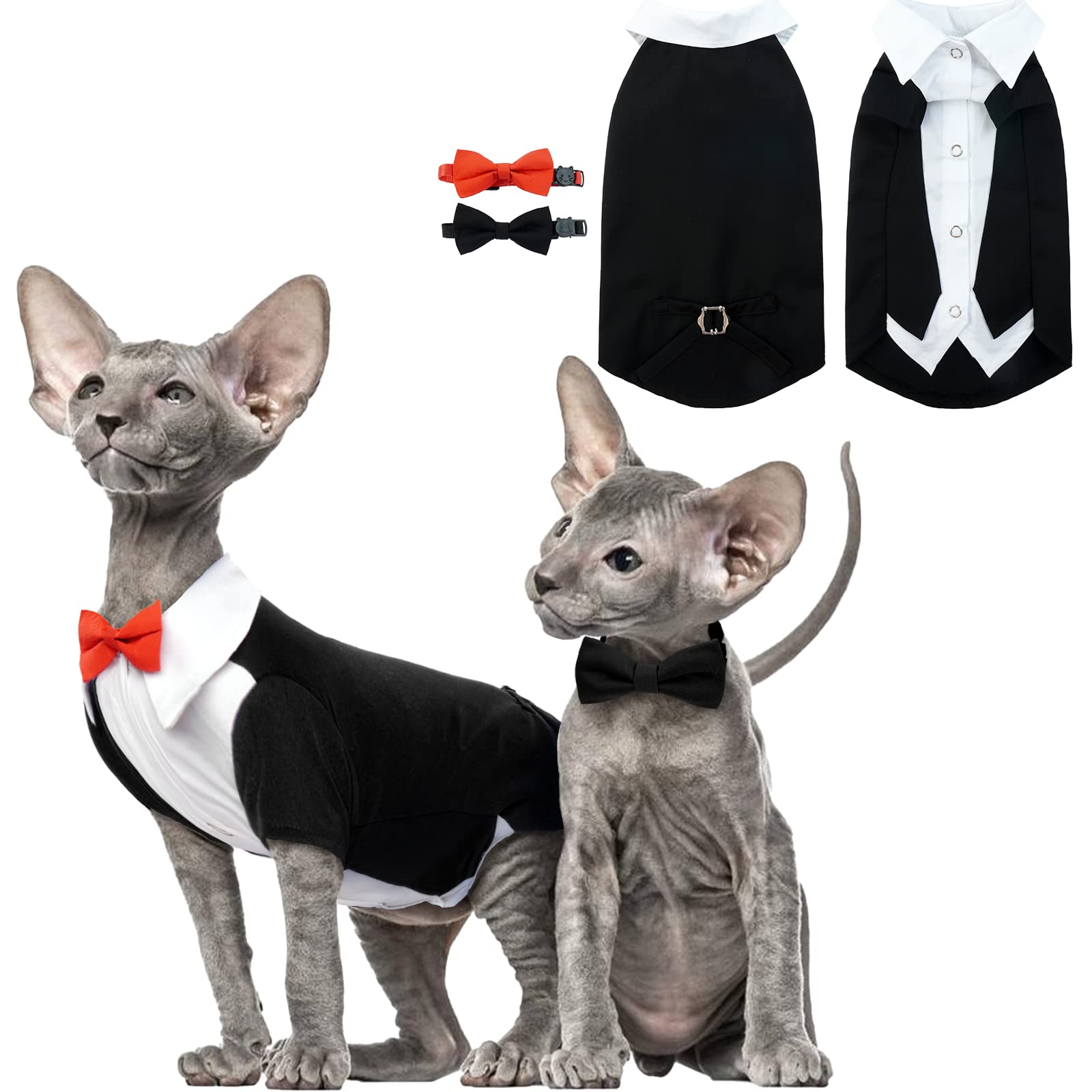 Gatti In Smoking Gatto Tuxedo: Aspetto, Colori Razza, Carattere|