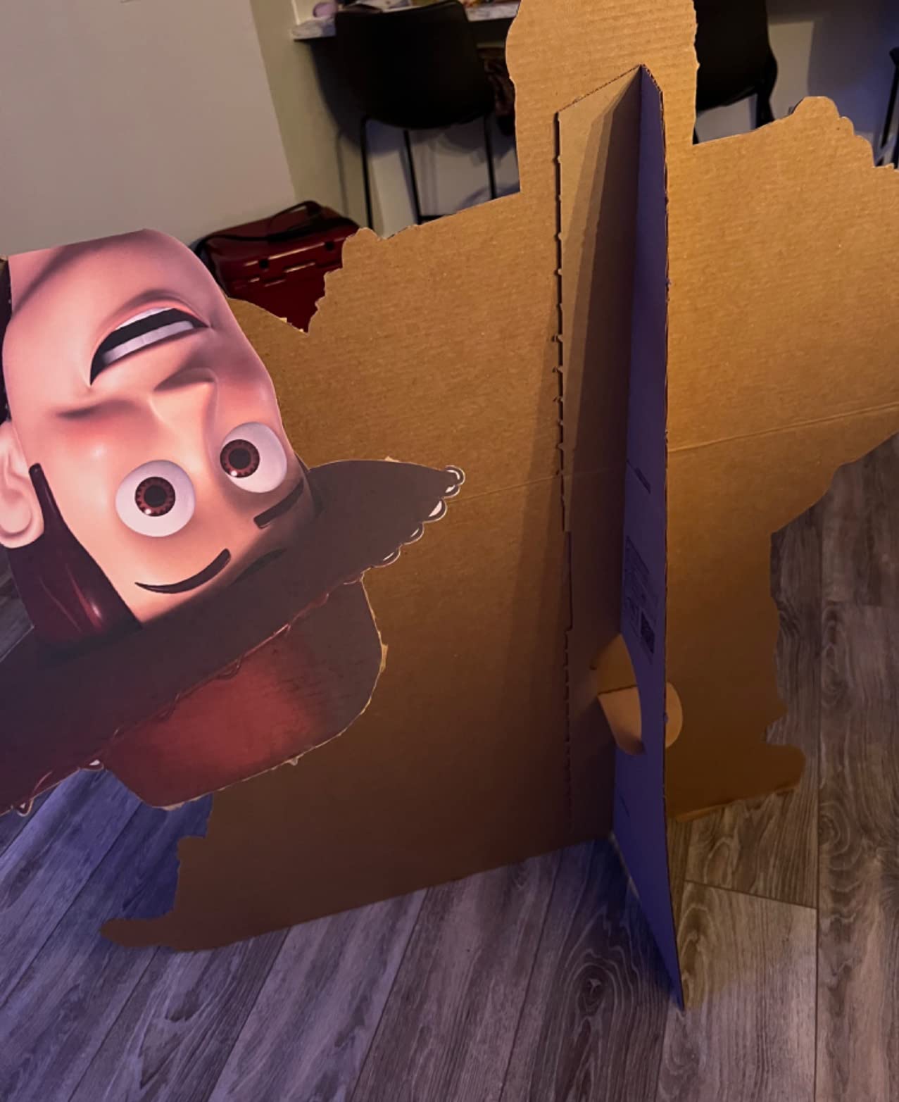 $8/mo - Finance Cardboard People Buzz and Woody Refresh Cardboard ...