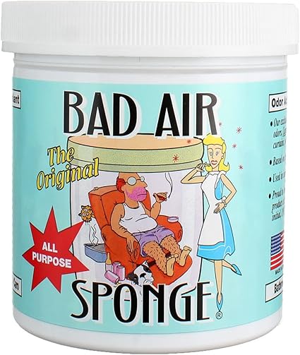 Amazon.com: Bad Air Sponge 14OZ : Health & Household