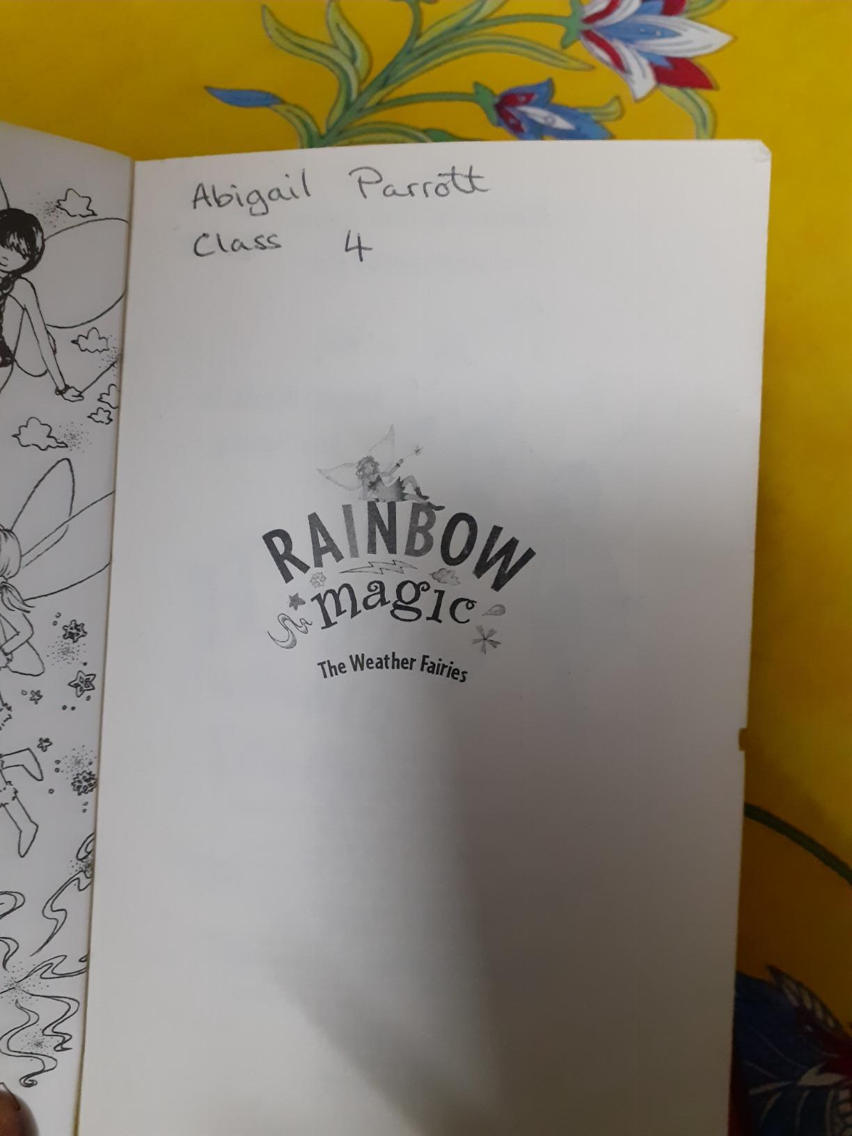 RAINBOW MAGIC: THE WEATHER FAIRIES: 14: HAYLEY THE RAIN FAIRY : Meadows ...