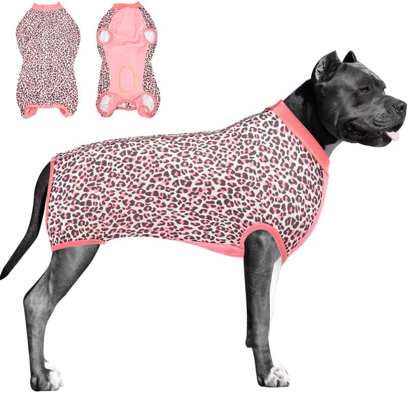 Amazon.com : PetWarm Post-Spay & Neuter, Weaning, Prevents Licking ...