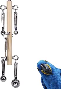 XINYUICEAN Parrot Pull Spoons,Bird Spoon Toy,Stainless Steel Hanging ...