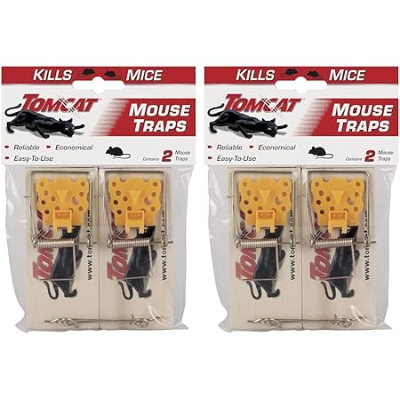 Amazon.com : Tomcat Mouse Traps (Wooden), Inexpensive, Effective Way to ...