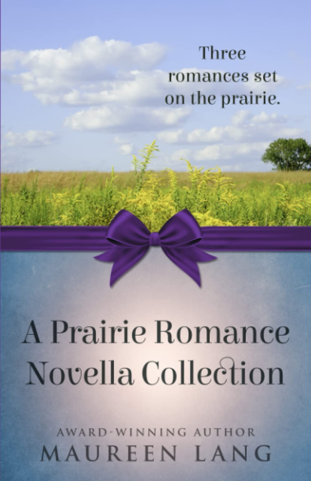 A Prairie Romance Novella Collection: Three romances set on the prairie ...