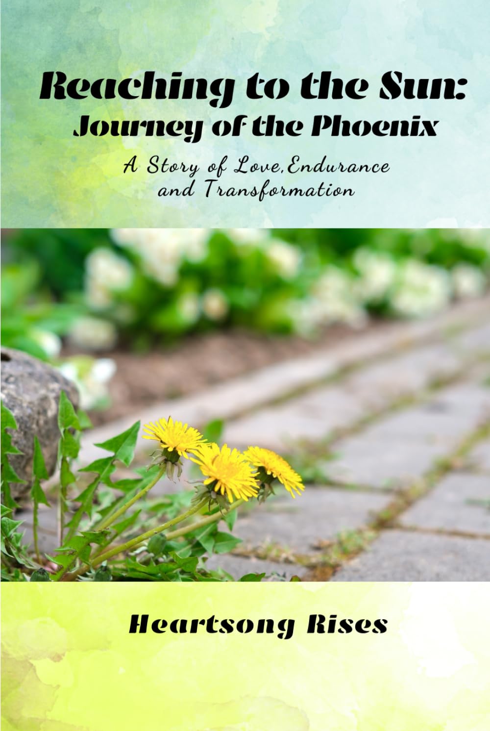 Amazon.com: Reaching to the Sun: Journey of the Phoenix: A Story of ...
