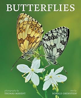 Butterflies: Orenstein, Ron, Marent, Thomas: 9781770855809: Books ...