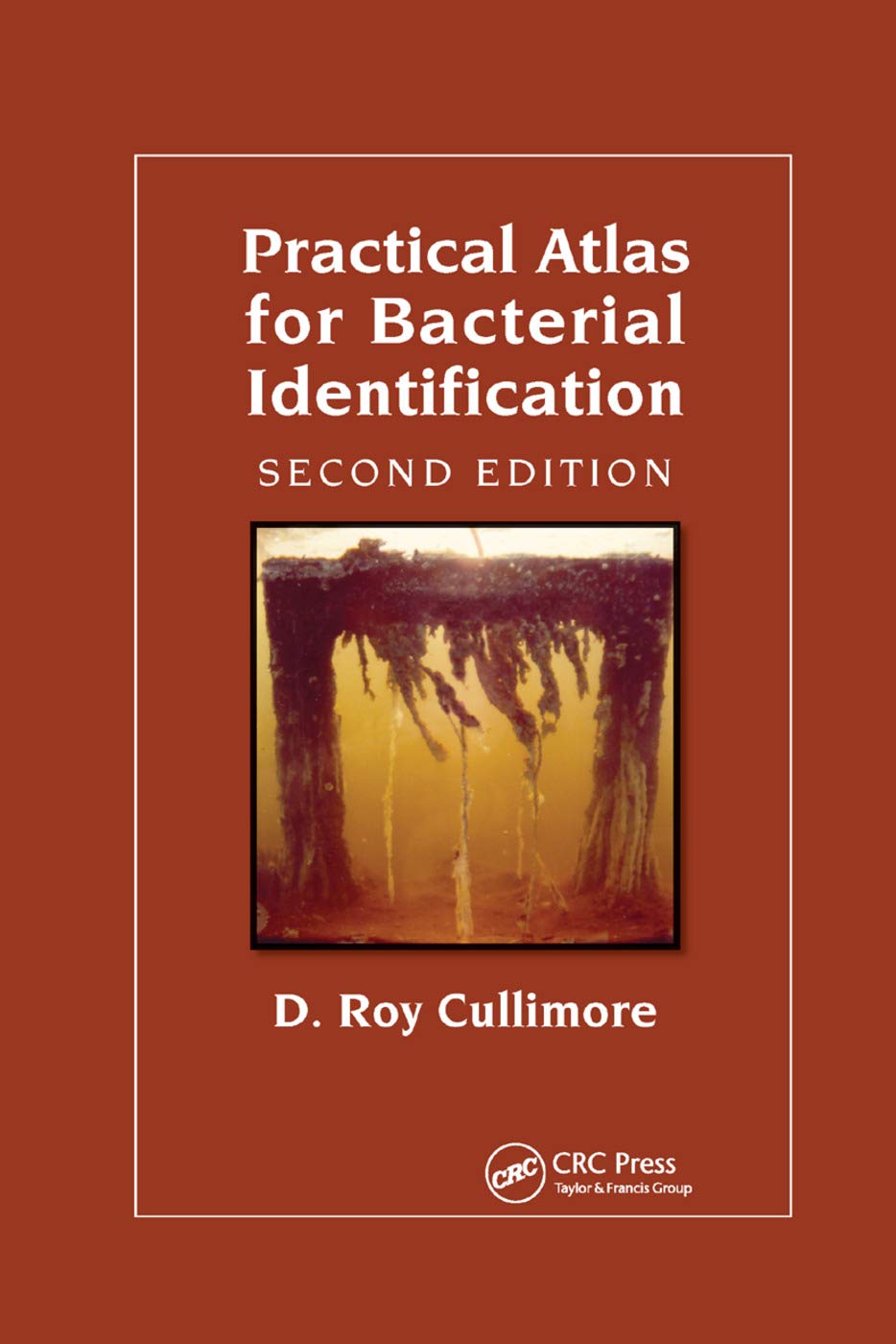 Practical Atlas for Bacterial Identification: 9780367384432: Medicine ...