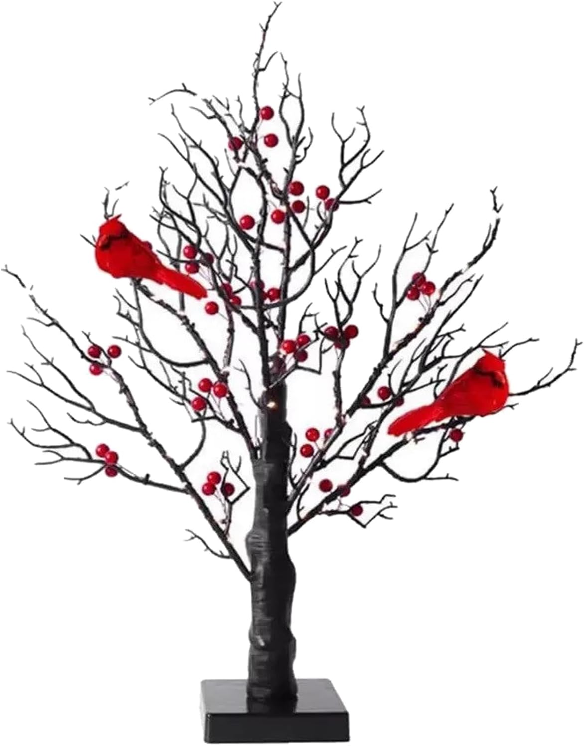 Amazon.com: Graddi Tree of Life, Ansurely Cardinal Tree, Inherenta ...