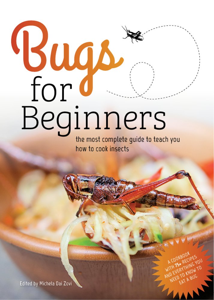 Amazon.com: Bugs for Beginners: the most complete guide to teach you ...