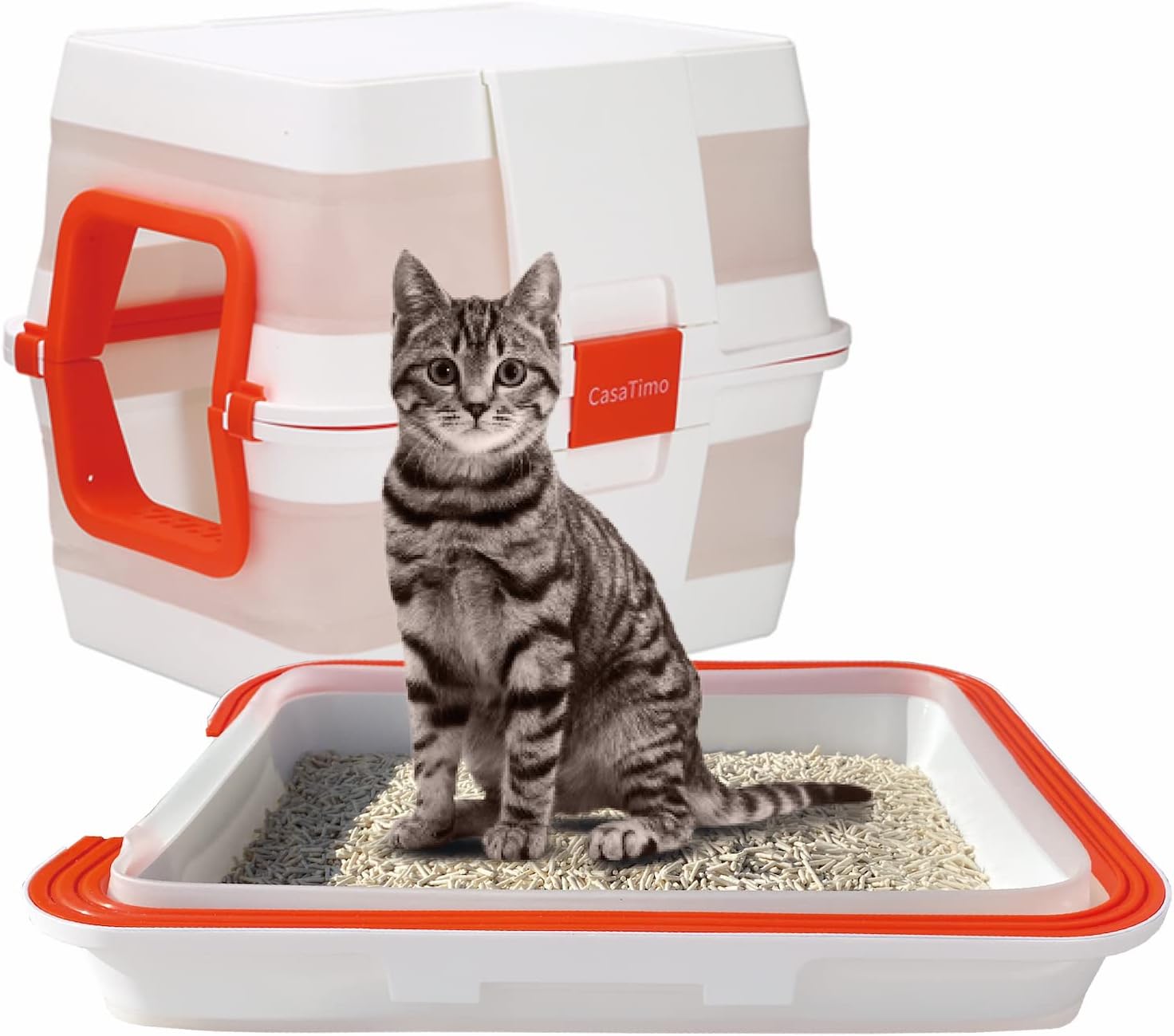 Amazon.com: 2 Pack Collapsible Kitten Litter Box, CasaTimo Foldable ...