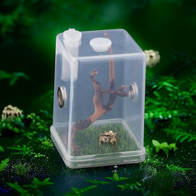 Jumping Spider Breeding Box Tarantula Transparent Terrarium Insect ...