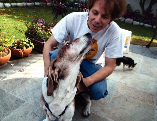 Amazon.com: Ken Sharp: books, biography, latest update