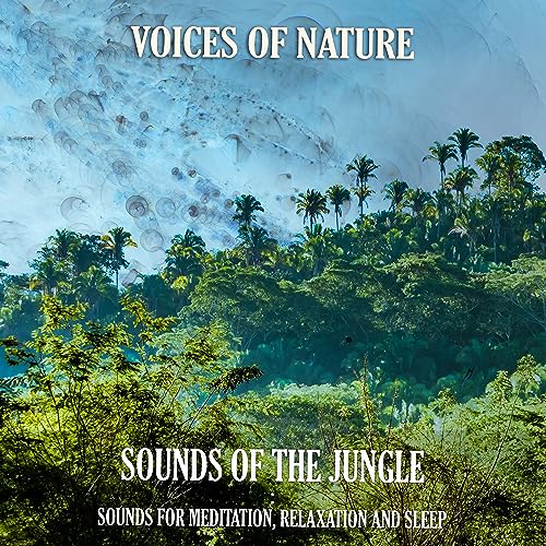Amazon.com: Sounds of the Jungle : Sounds for Meditation, Relaxation ...