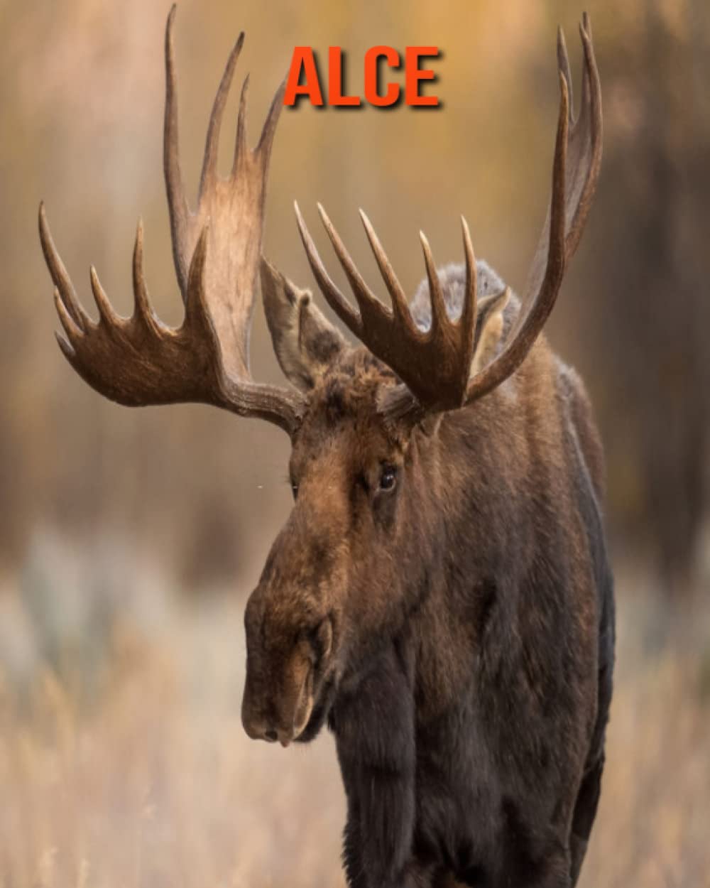 Buy Alce: Libro para niños con imágenes hermosas y datos interesantes ...