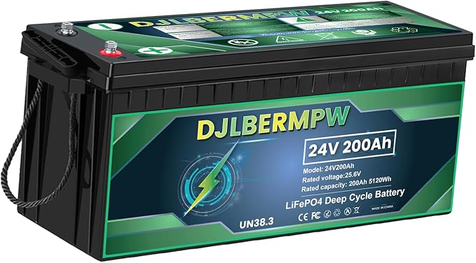 Amazon.com: DJLBERMPW 24V 200Ah LiFePO4 Lithium Battery Built-in 200A ...