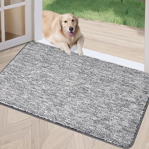 10 Best Mud Rugs For Dogs