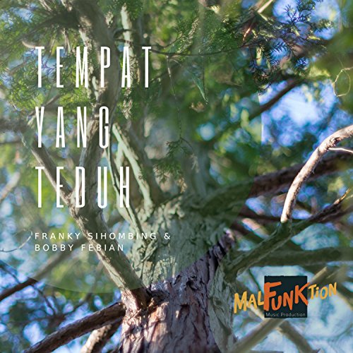 Tempat Yang Teduh by Franky Sihombing and Bobby Febian on Amazon Music ...