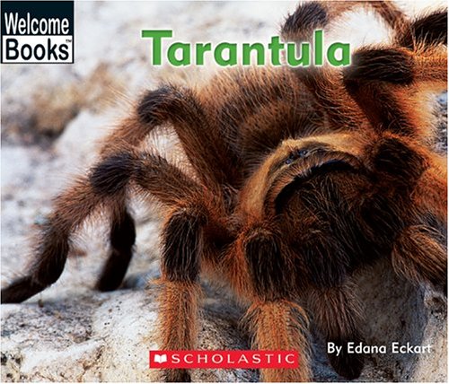Welcome Books: Tarantula: Animals of the World : Eckart, Edana: Amazon ...