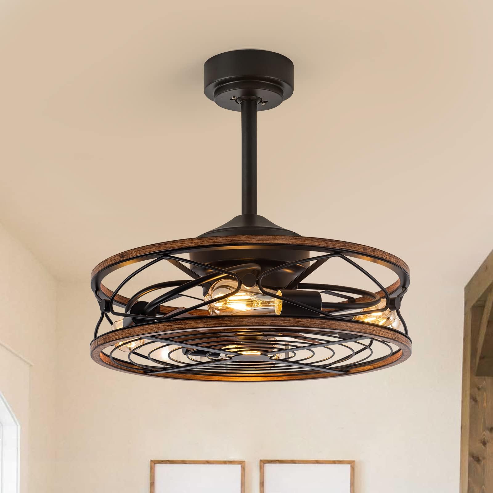 TIFEROR Caged Ceiling Fan With Light, 20 in Bladeless Remote Control, 3 ...