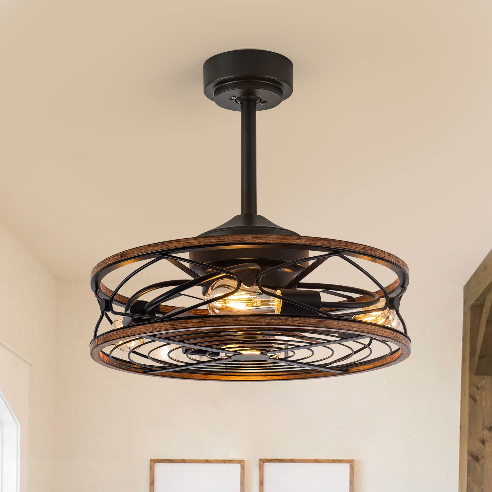 TIFEROR Caged Ceiling Fan With Light, 20 in Bladeless Remote Control, 3 ...