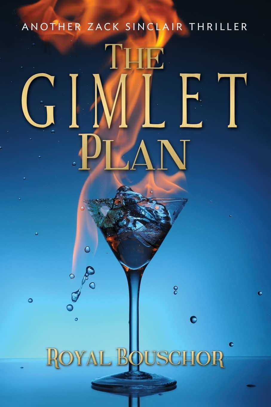 Amazon.com: The Gimlet Plan: 9781502867698: Bouschor II, Royal G.: Books