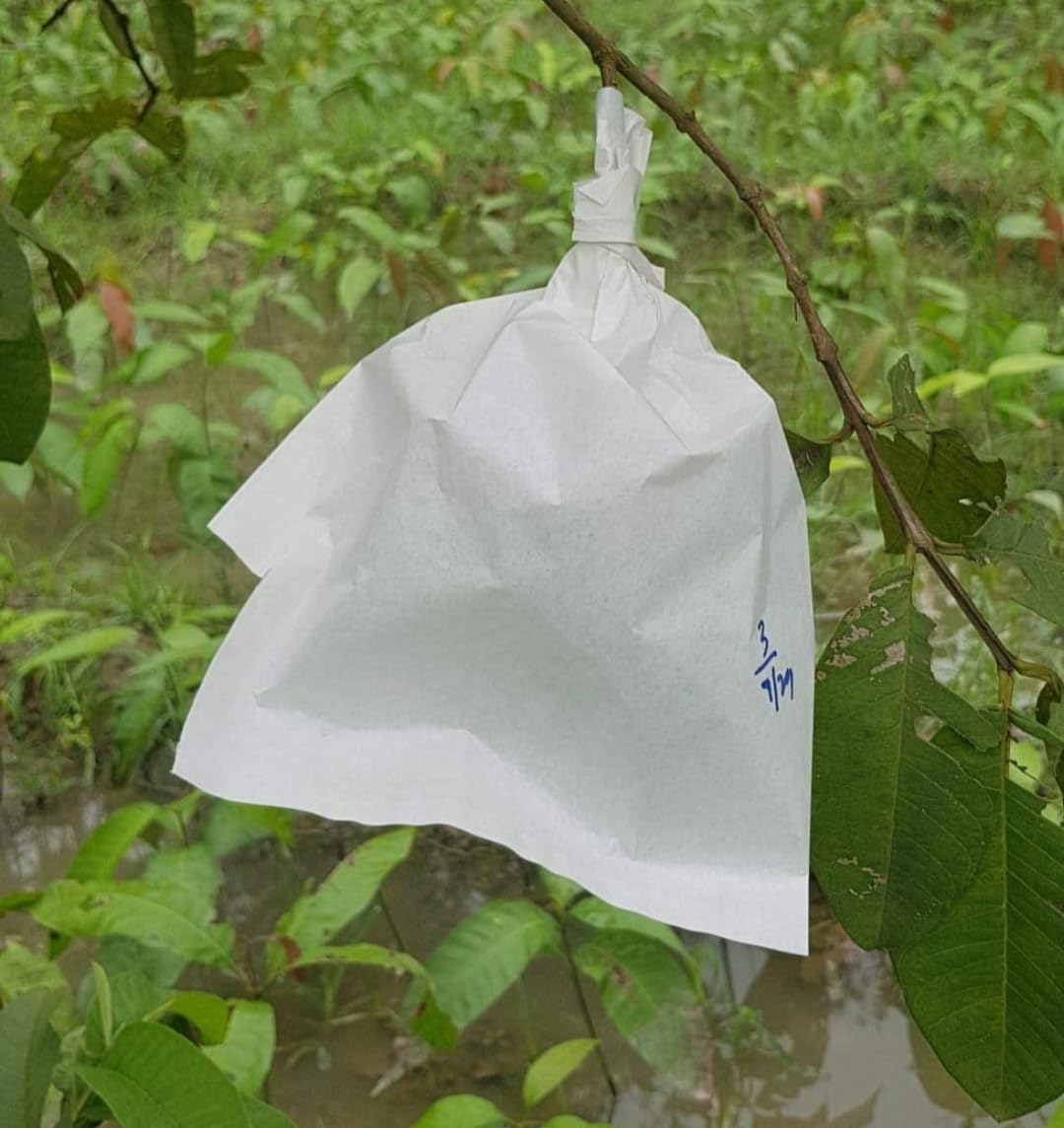 HORTIVISION Fruit Fly Protection Bag for Guava, Pomegranate, Apple ...
