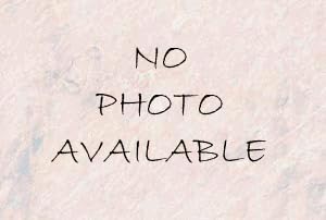 Amazon.com: Ginger Chrome Circa Double Hook : Tools & Home Improvement