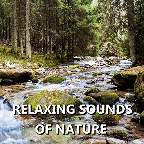 Play Relaxing Sounds of Nature by Sounds of Nature on Amazon Music