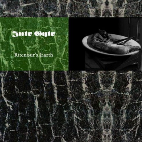 Amazon.com: Ritenour's Earth : Jute Gyte: Digital Music
