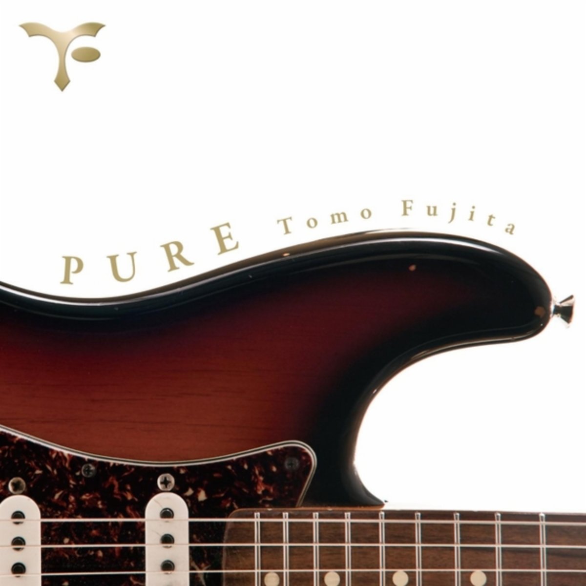 Tomo Fujita feat. ウィル・リー, スティーヴ・ガッド, Steve Jordan & バーナード・パーディのPure ...