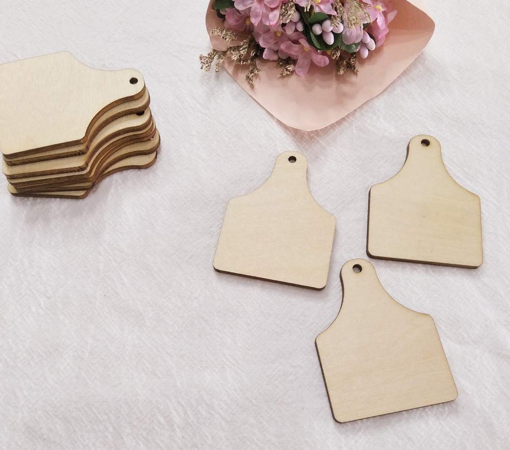 Amazon.com: 30PCS Cow Tag Natural Wood Earrings Blanks,Wood Jewelry ...