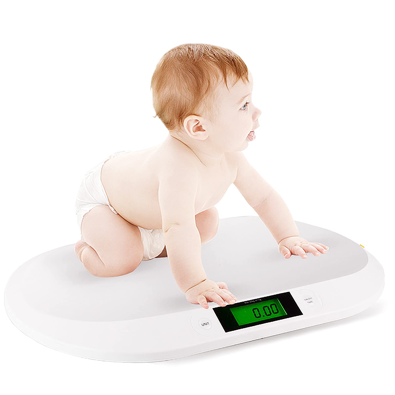Buy 3-In-1 Digital Baby Scale Pet Scale Food Weight Mini Scale LCD ...