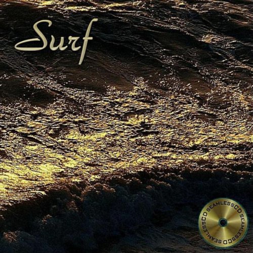Amazon.com: Surf : Seamless CDs: Digital Music