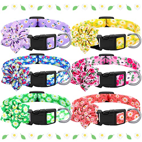 Pretty Dog Collars – The 15 best products compared - Wild Explained