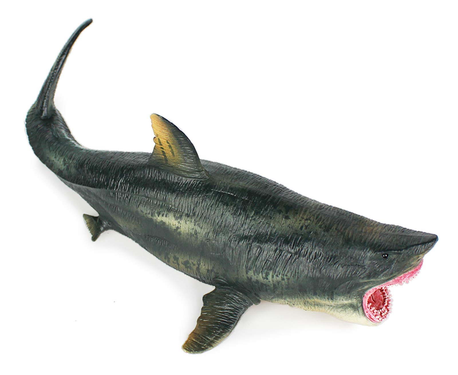 Sea Monsters Megalodon